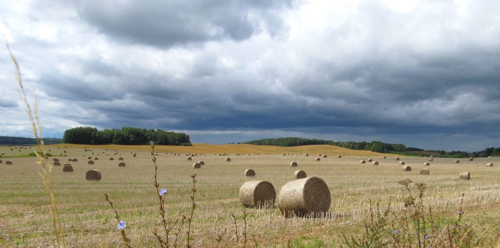 Nauda ar Latvijas dvēseli. Lats – Izdevniecība "apvārsnis"